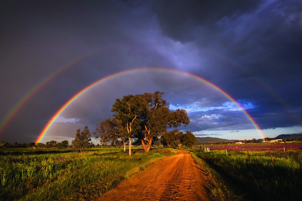 Reset Your Senses - Official Tourism Website | Mudgee Region