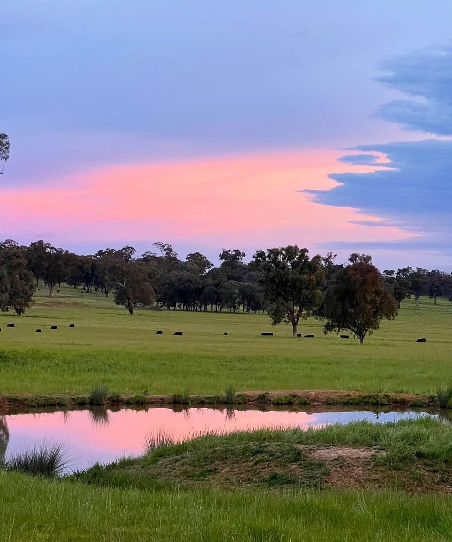 Mudgee Region - Reset your Senses in a contemporary NSW Wine Region