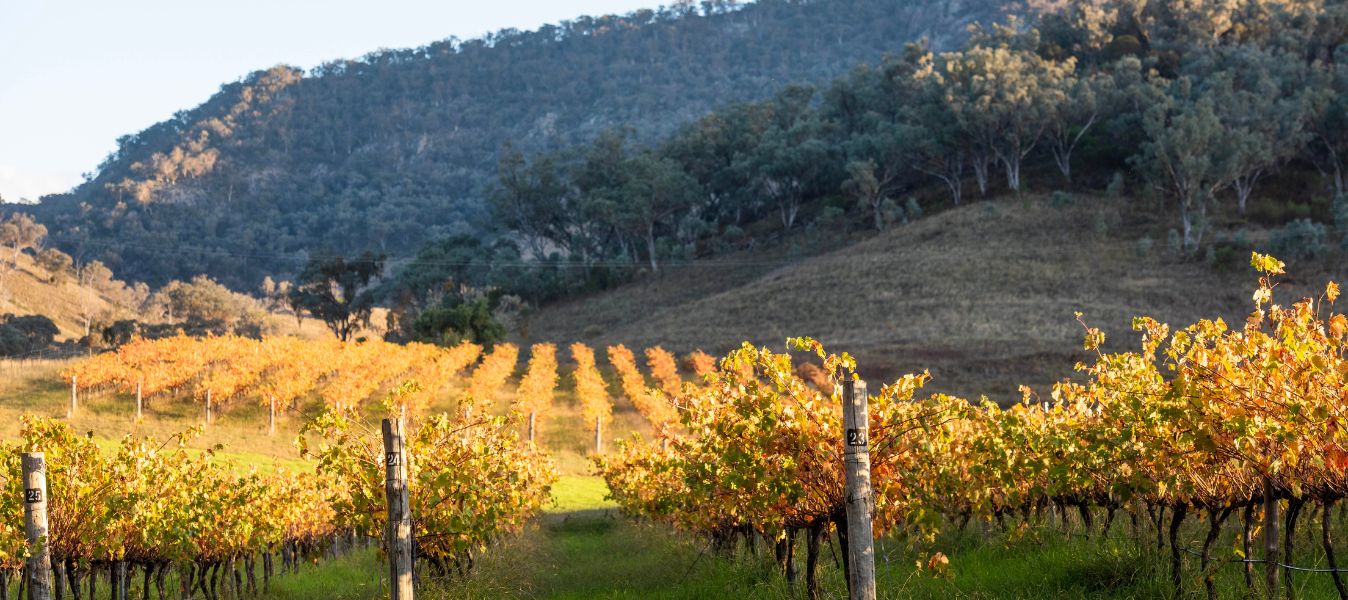 Gooree Park: more than just a cellar door - Mudgee Region
